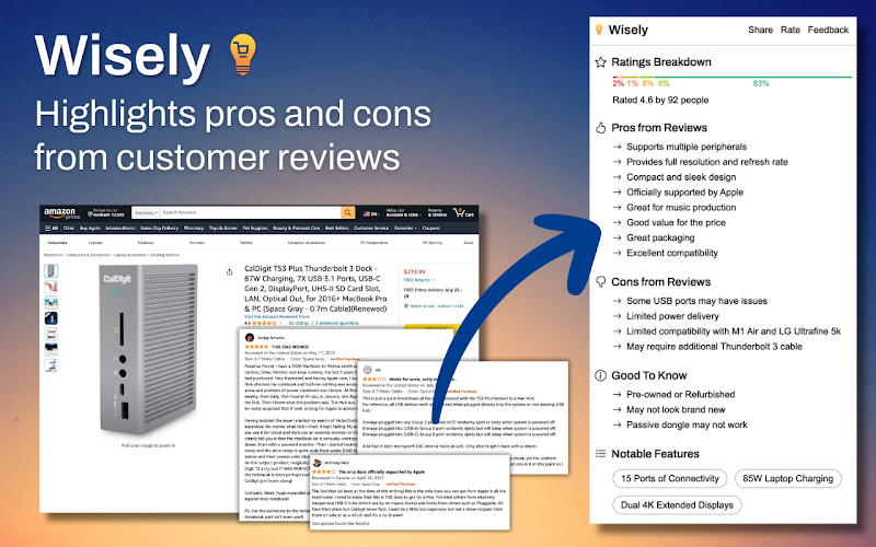 Wisely AI - Extension, Features, Pros & Cons, Review